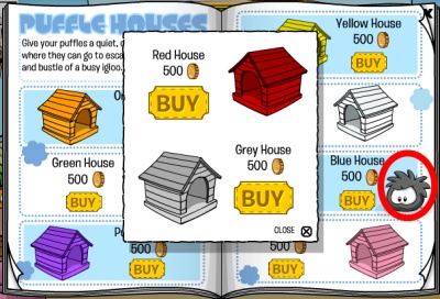 New Club Penguin Orange Puffle Furniture! | Club Penguin | Club Penguin ...